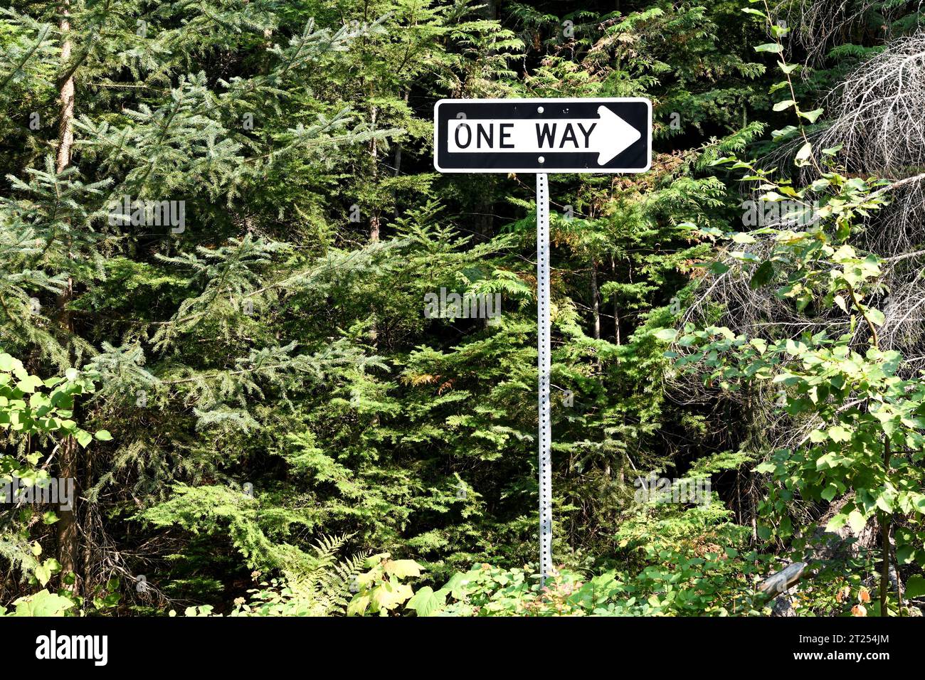 One way road sign hi-res stock photography and images - Alamy