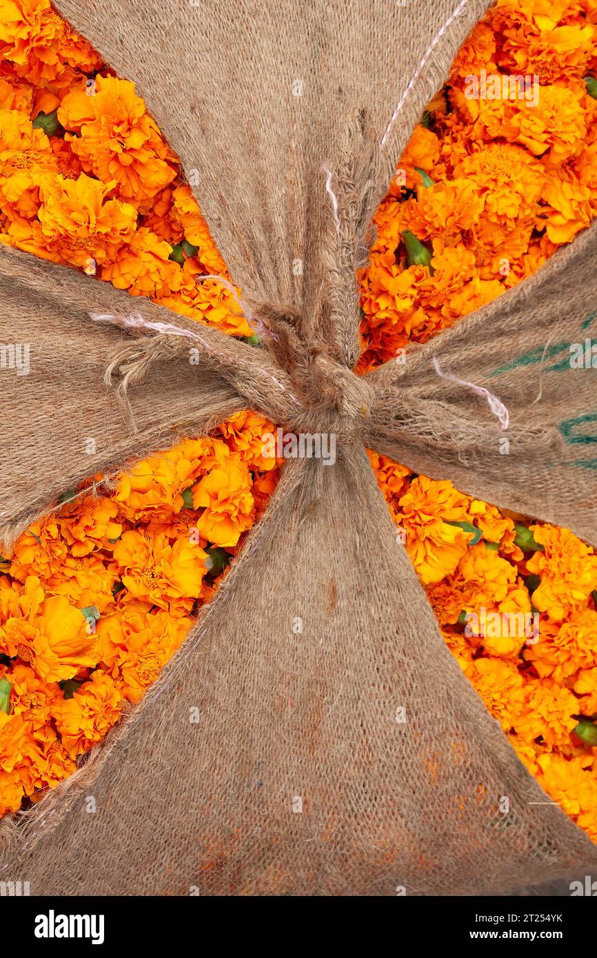 Overhead view of a sack filled with marigold flowers in a Flower market ...