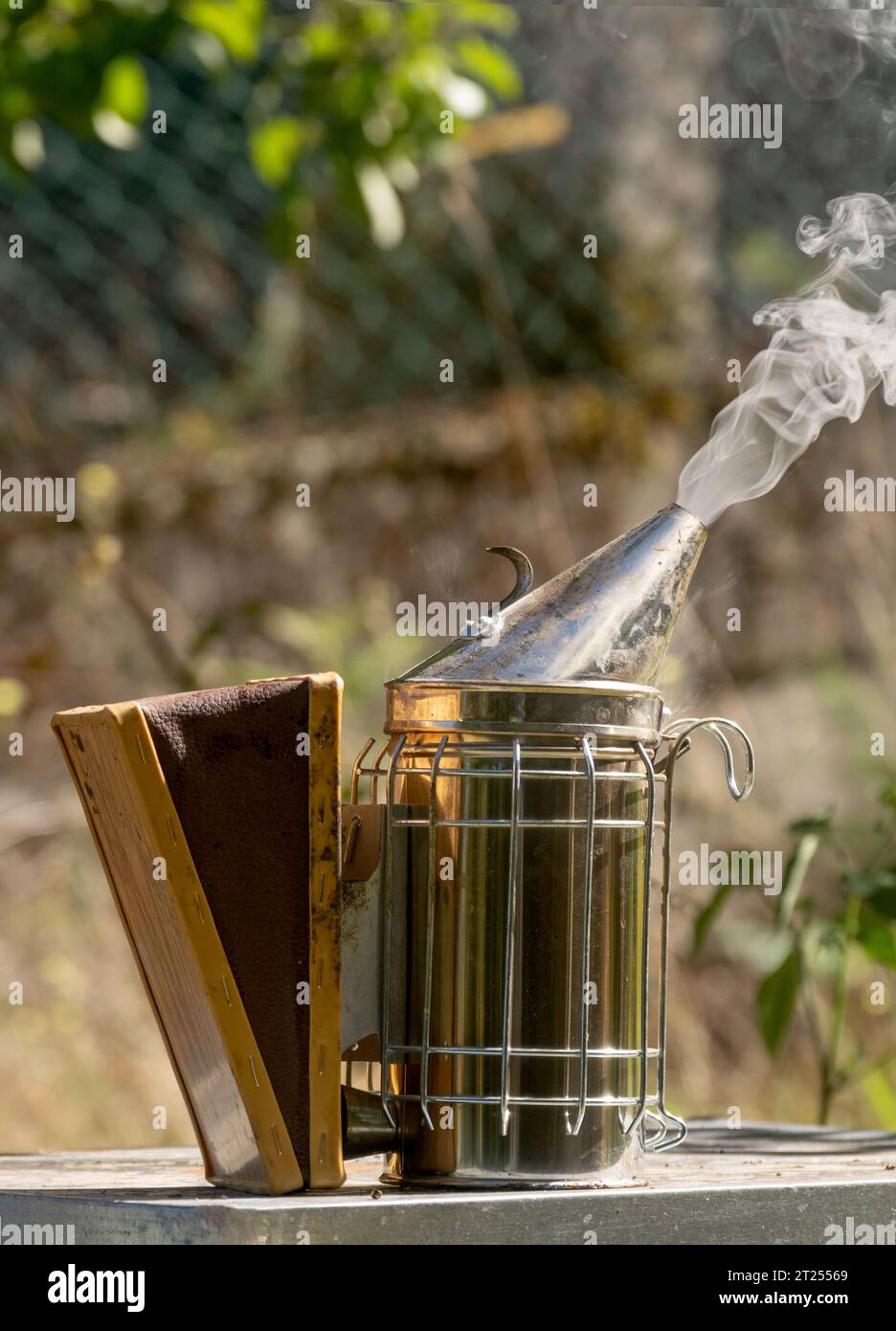 Beekeeper smoking honeycomb beehive hi-res stock photography and images ...