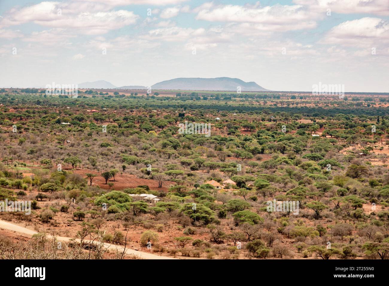 African landscape with houses amidst acacia trees in arid landscapes of ...