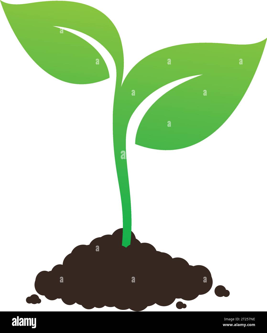 seedling sprouting from soil simple drawing vector isolated on ...
