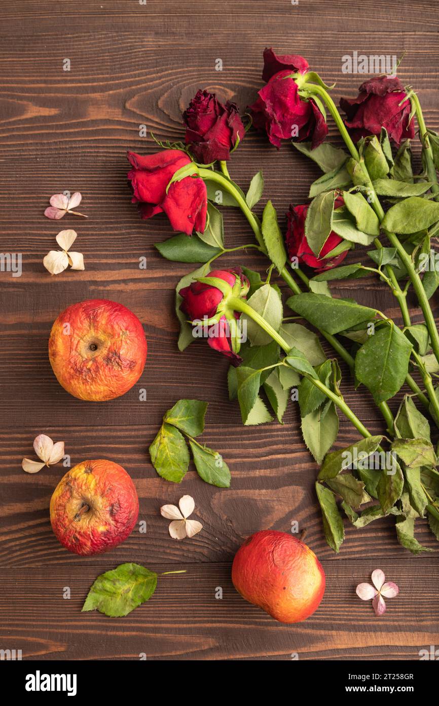 Withered, decaying, roses flowers and apples on brown wooden background ...