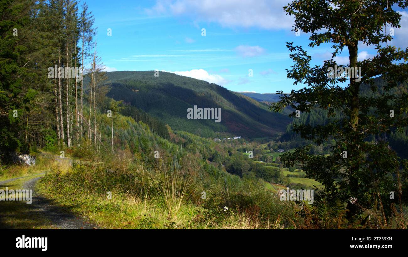 Rolling Hills of Mid-Wales UK Stock Photo - Alamy