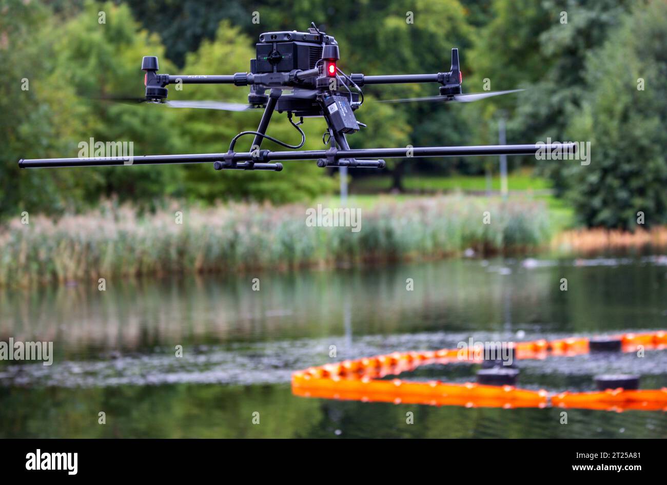 Swan measurement hi-res stock photography and images - Alamy