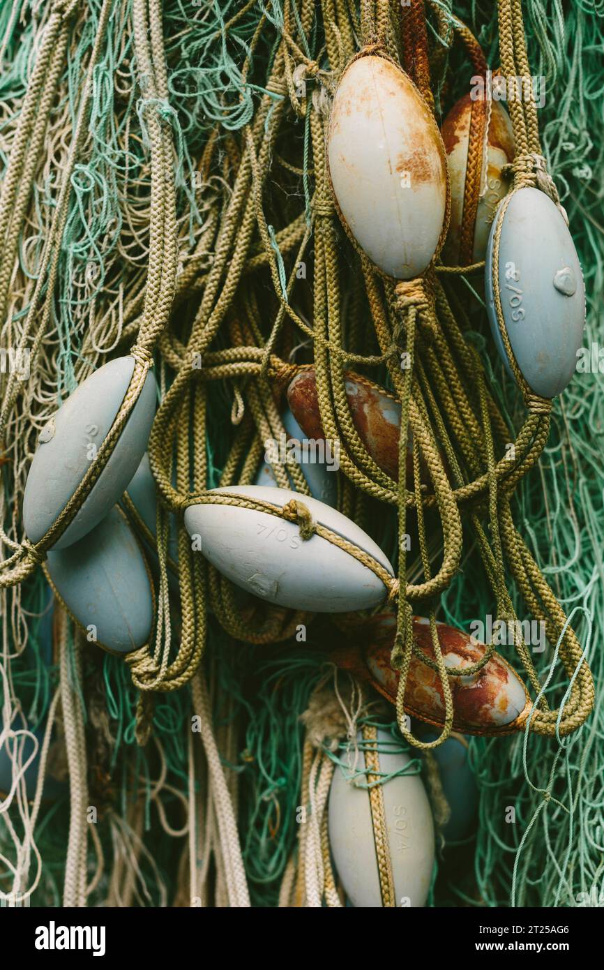 Collections of beachcombing finds, Flora Museum, Texel Stock Photo - Alamy