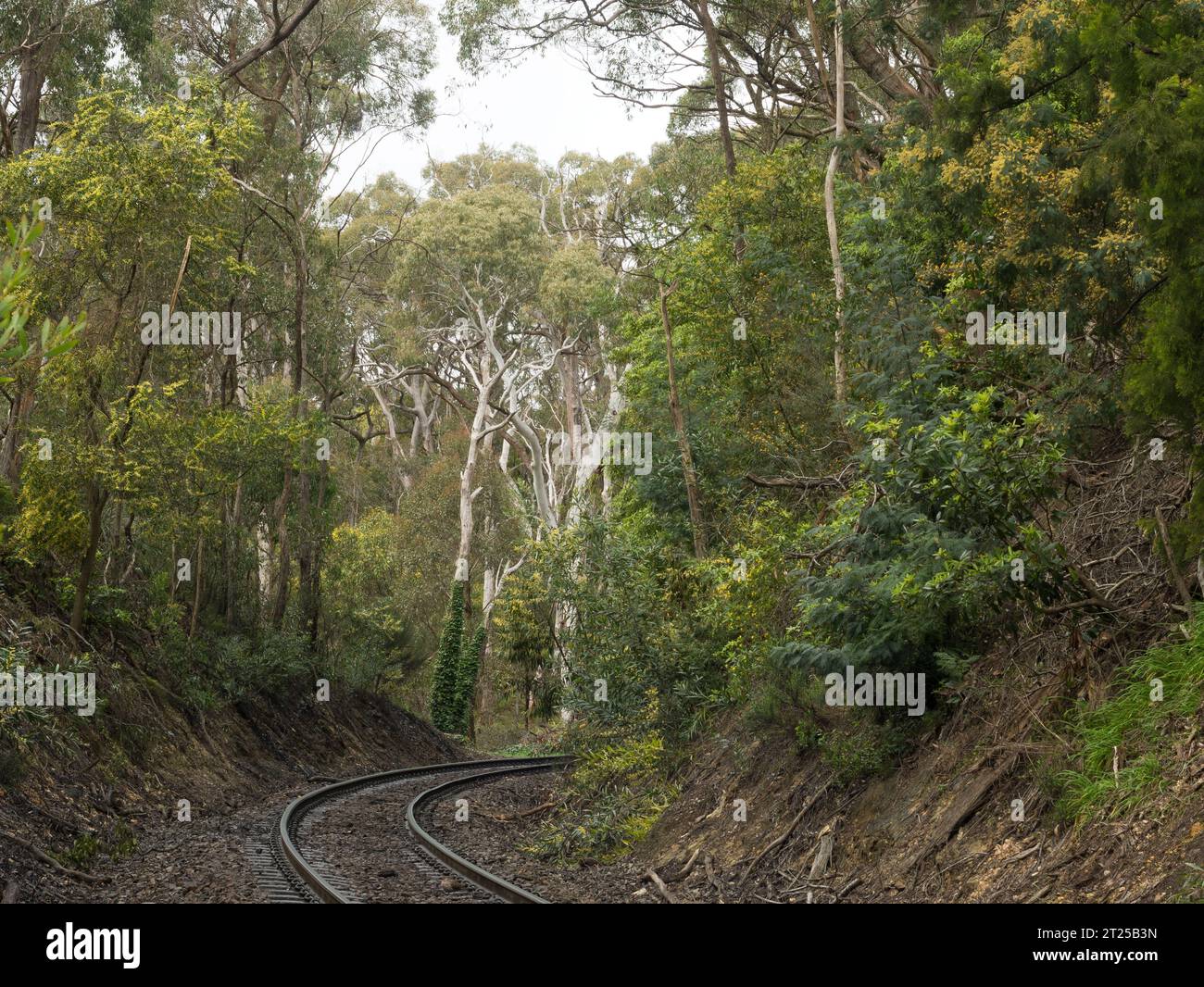 Curved railway track with gum trees in the Adelaide Hills, South ...