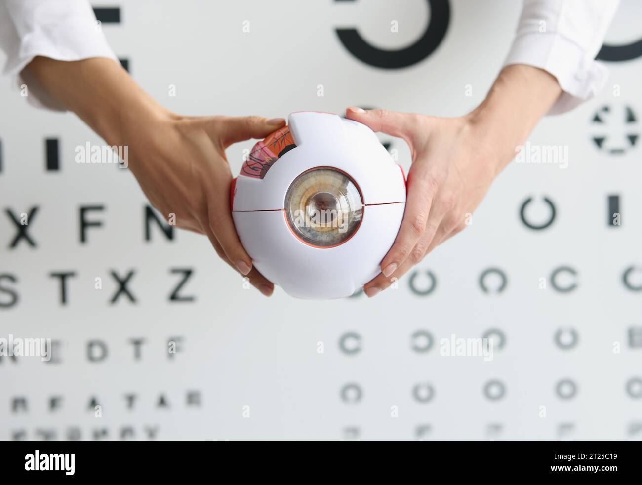 Ophthalmologist doctor holding part of eye model, oculus sample ...