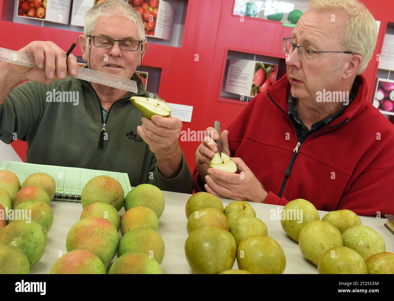 PRODUCTION - 16 October 2023, Saxony, Wurzen: In the testing station of ...