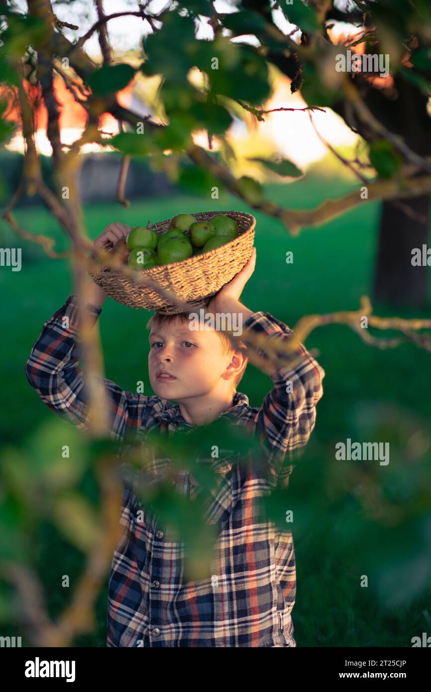 A handsome boy in a plaid shirt and white trousers poses in an apple ...