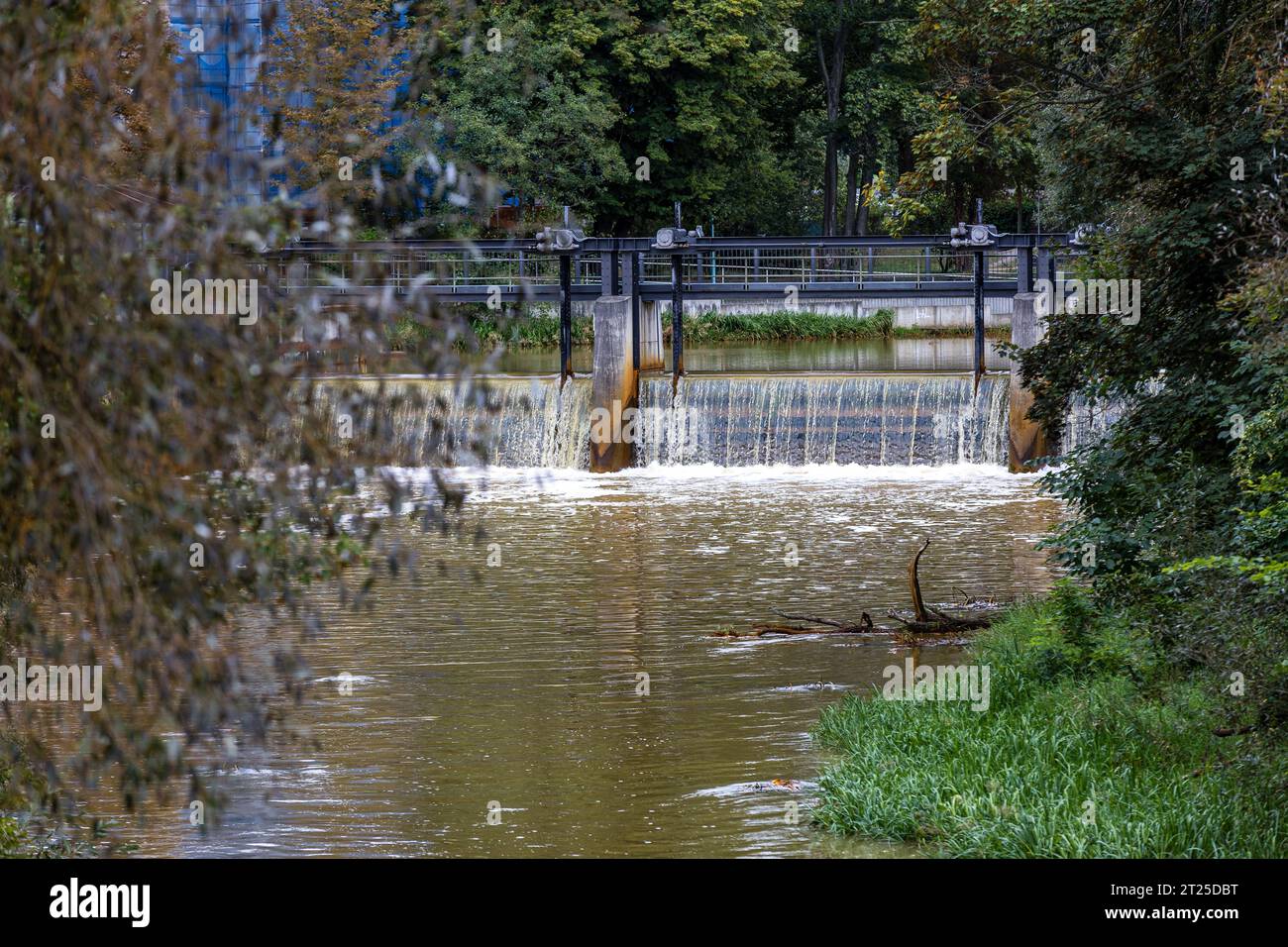 Spremberg, Germany. 23rd Sep, 2023. Ocher-colored, the Spree flows to ...