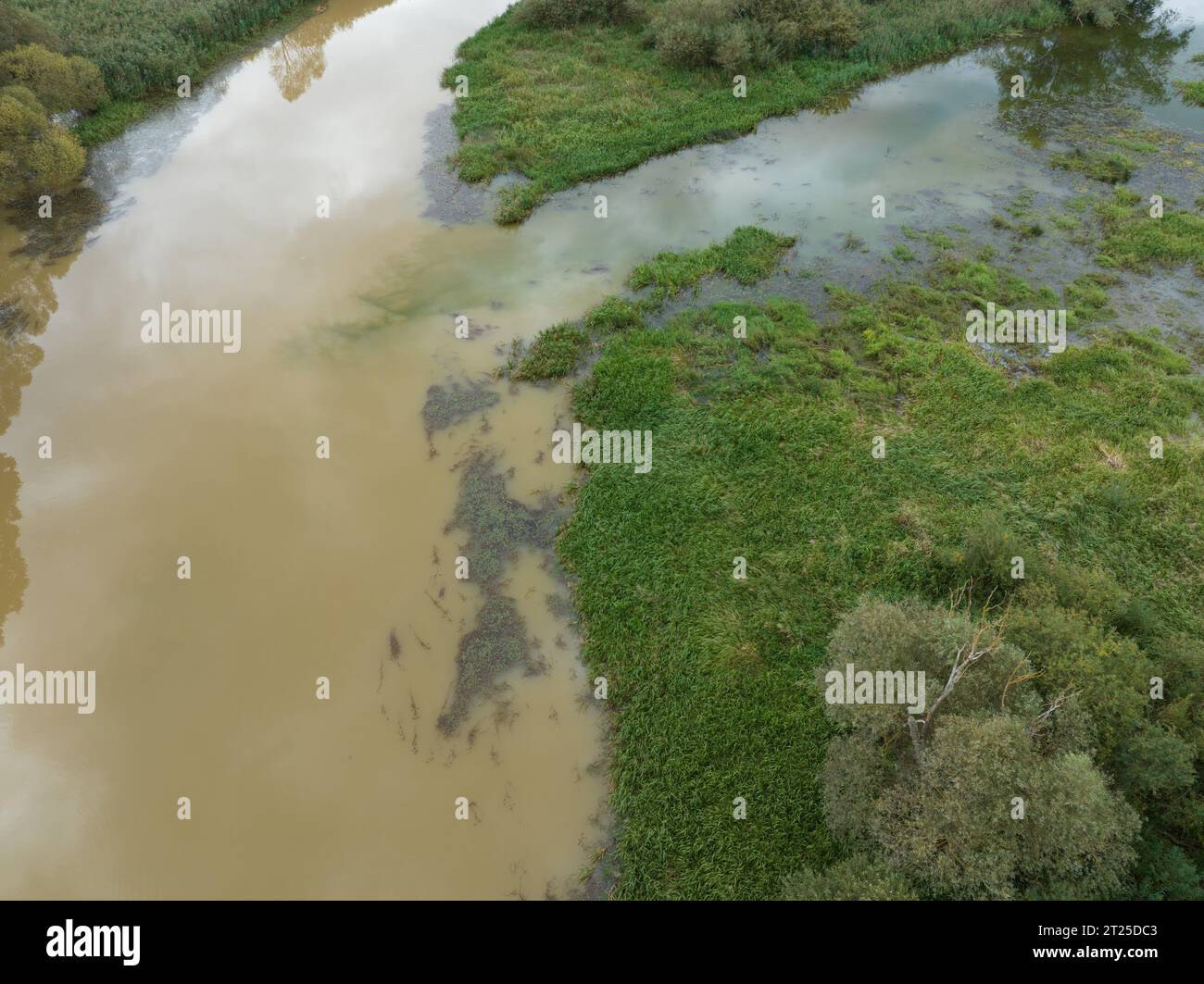 23 September 2023, Brandenburg, Bühlow: Ocher-colored, the Spree flows ...