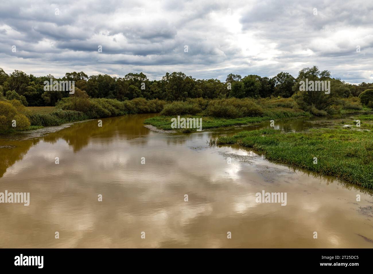 23 September 2023, Brandenburg, Bühlow: Ocher-colored, the Spree flows ...