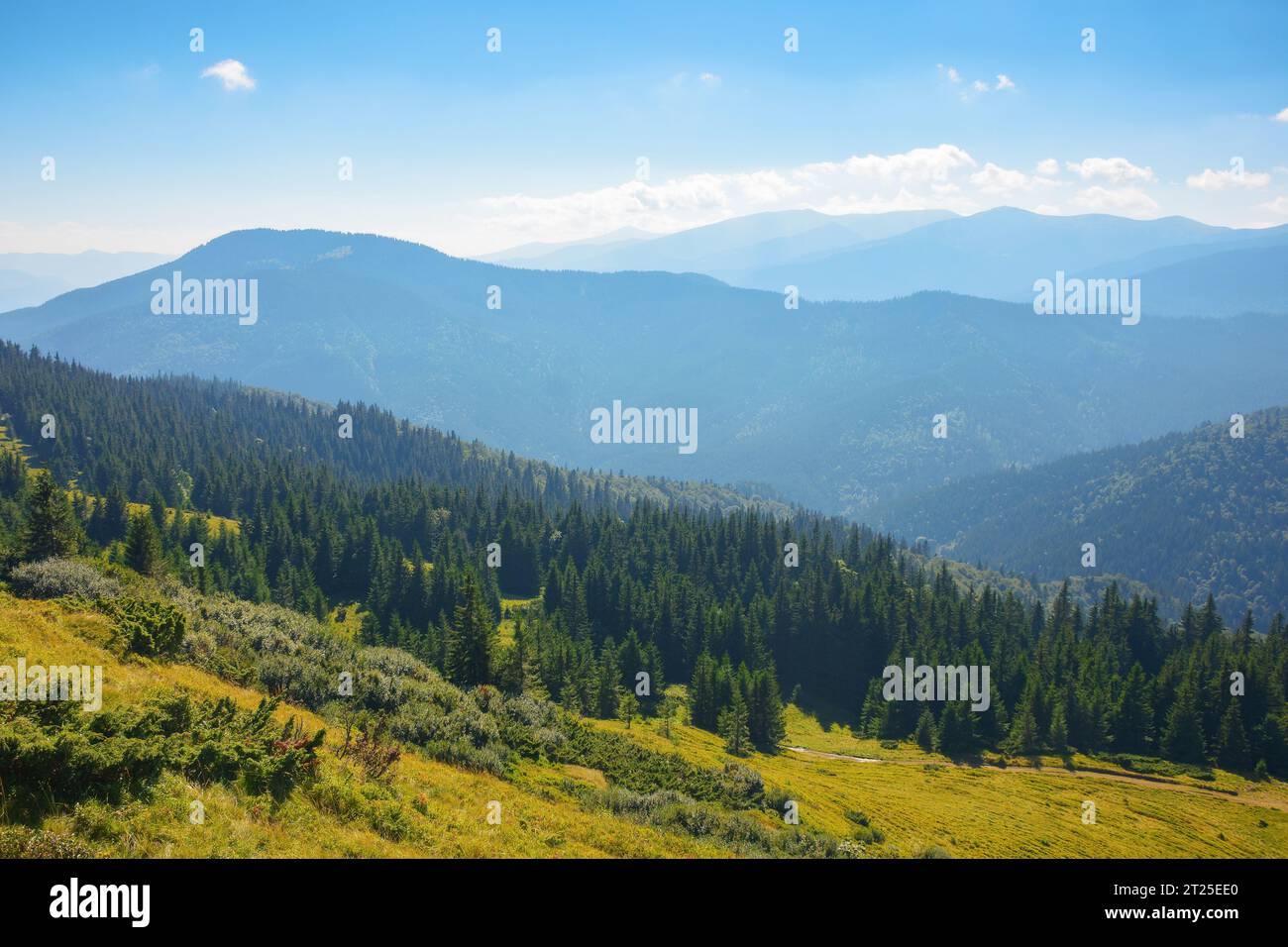 mountainous landscape of ukrainian highlands in summer. view in to the ...