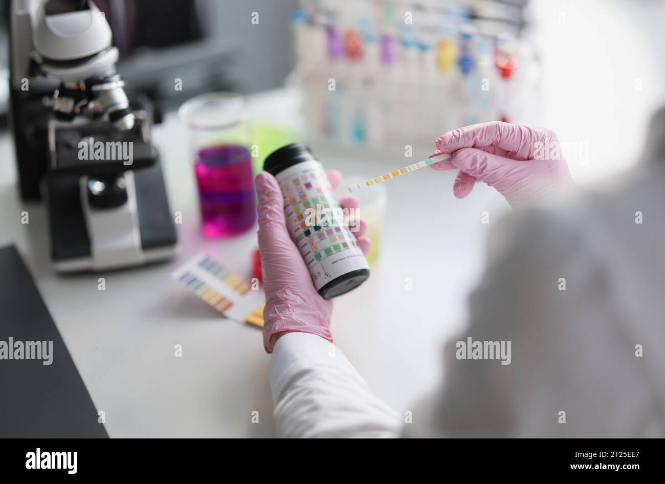 Scientist hold litmus test paper for soil analysis, litmus paper show ...