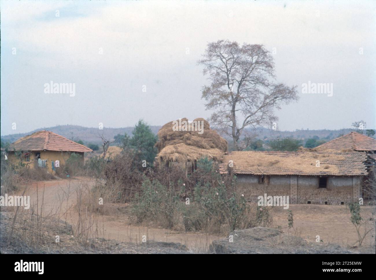 Palghar maharashtra hi-res stock photography and images - Alamy