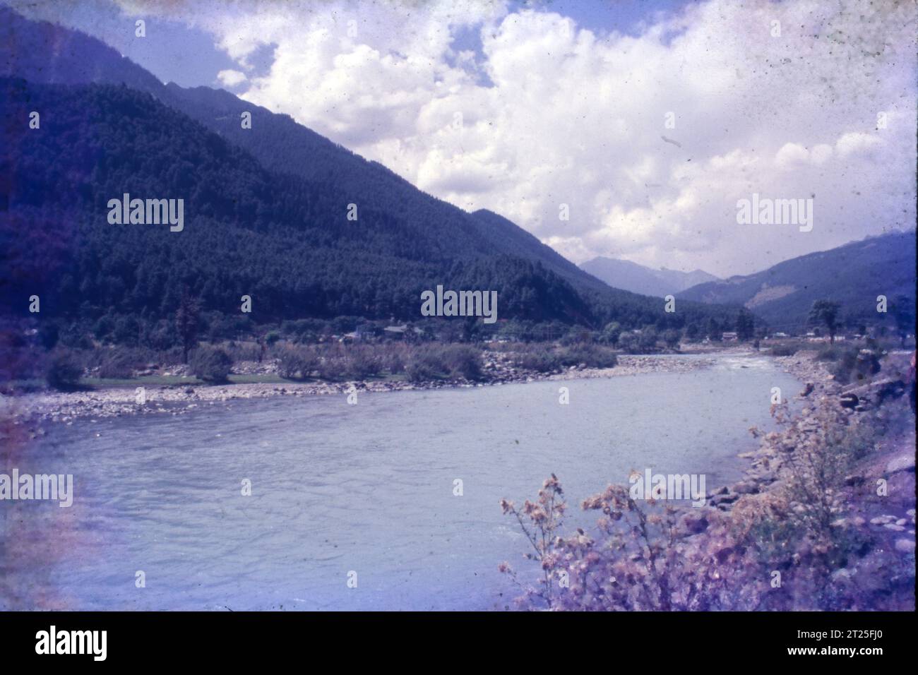 Lidder River, Kashmir Vally, Jammu & Kashmir, India, Asia Stock Photo ...