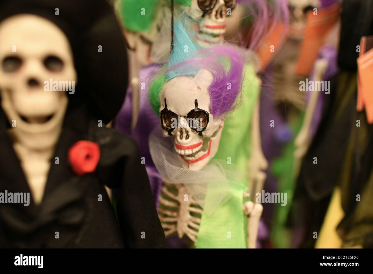 The skeletons Halloween Costume Store Stock Photo - Alamy