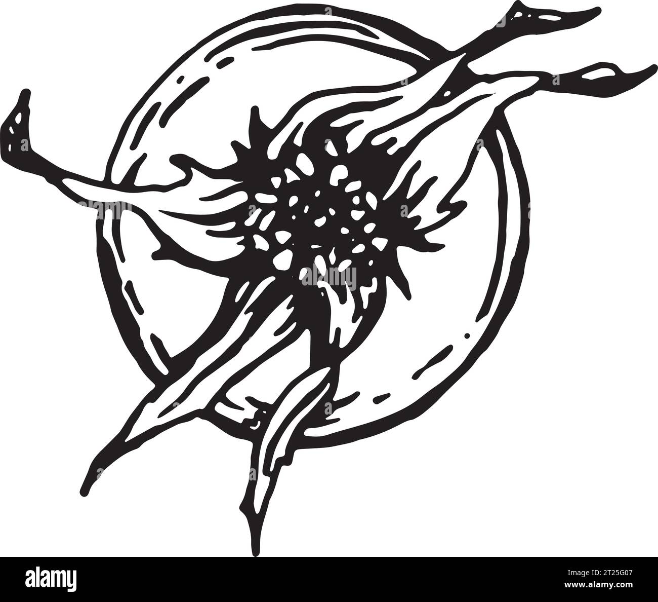Graphic illustration of rosehip. Vector monochrome clip art of Wild ...