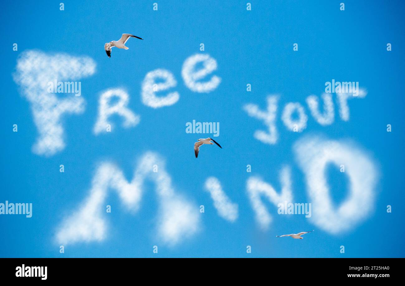 Message, blue sky and birds with words in nature for inspiration ...