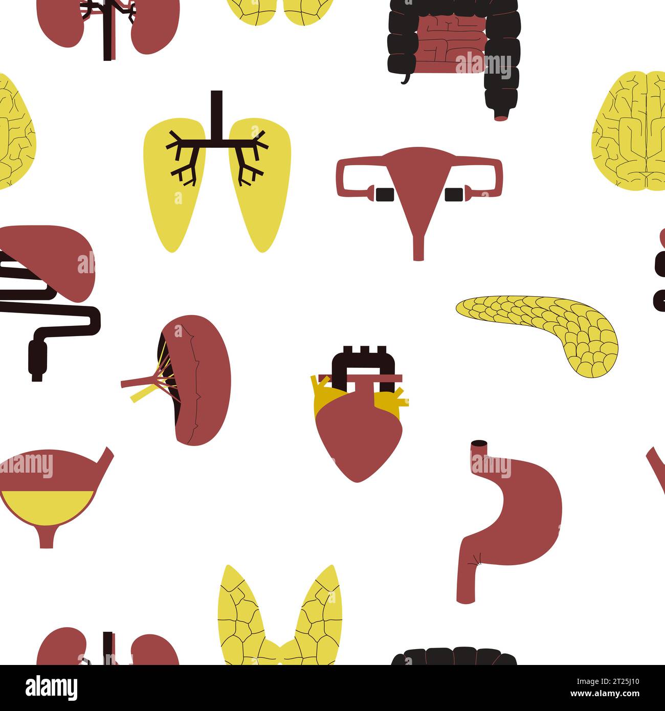 Seamless medical pattern of various human internal organs in graphic ...