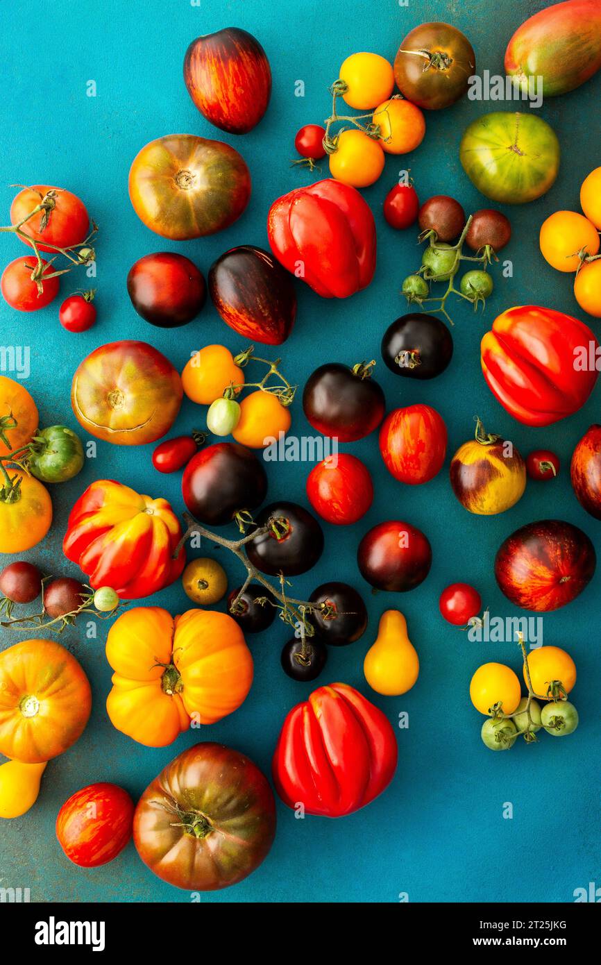 Multi-colored bright ripe tomatoes on an emerald green background ...
