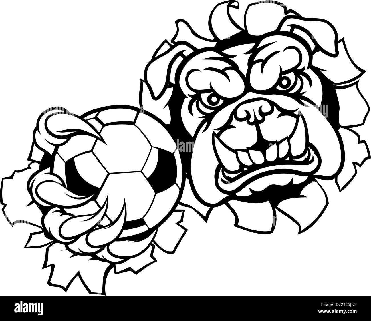 Football mascot dog hi-res stock photography and images - Alamy
