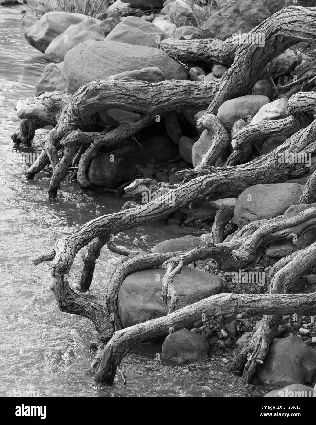 Sunset arches national park utah Black and White Stock Photos & Images ...