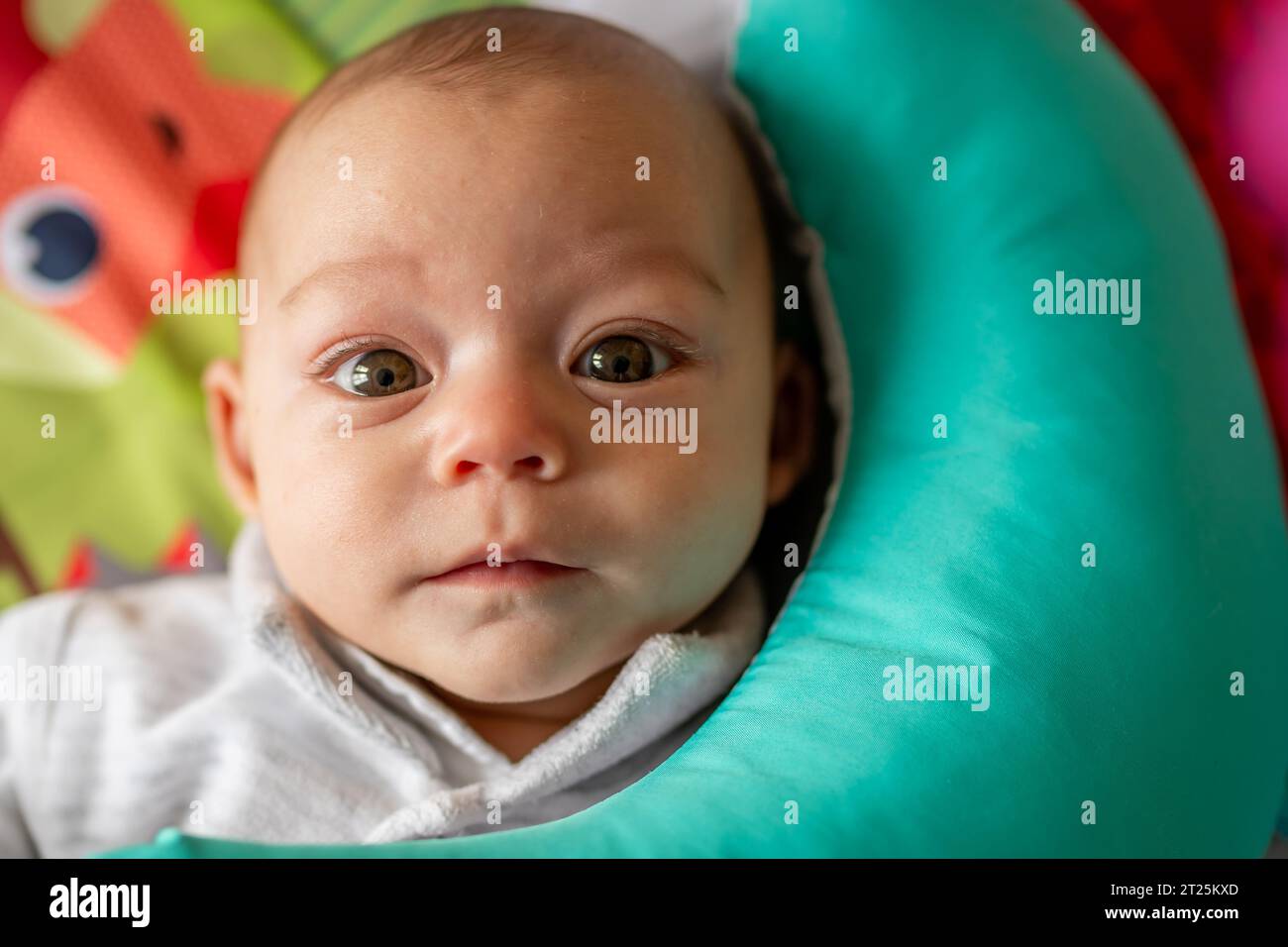 close-up of a beautiful big-eyed baby lying on her back in her play gym ...