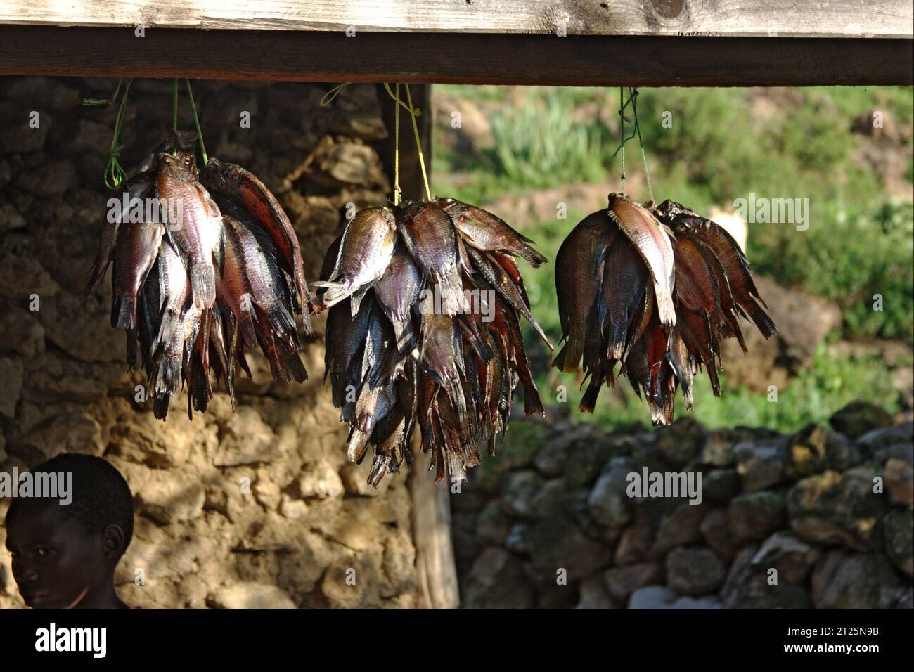 The Njemps, also referred to as ‘En-Jemusi’, ‘Il-Chamus’, Ilchamus or ...