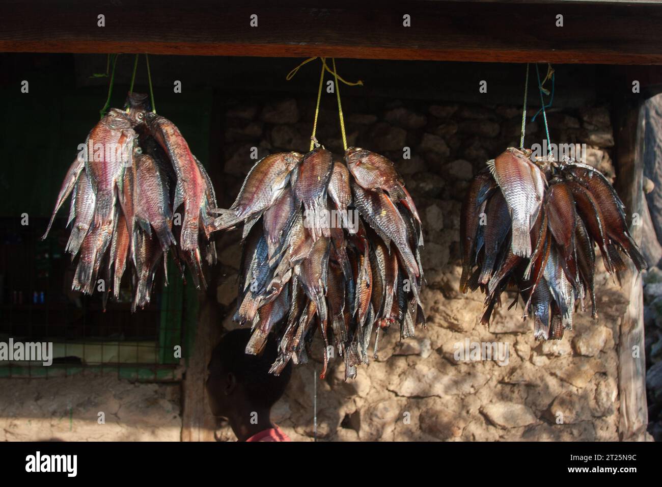 The Njemps, also referred to as ‘En-Jemusi’, ‘Il-Chamus’, Ilchamus or ...