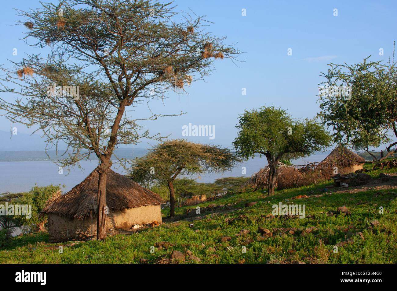 The Njemps, also referred to as ‘En-Jemusi’, ‘Il-Chamus’, Ilchamus or ...