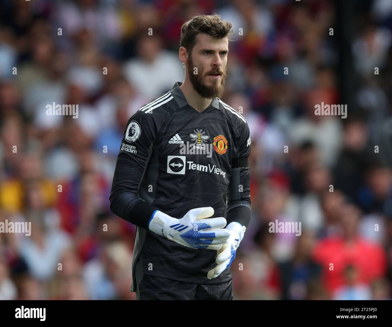David De Gea of Manchester United playing against Crystal Palace ...