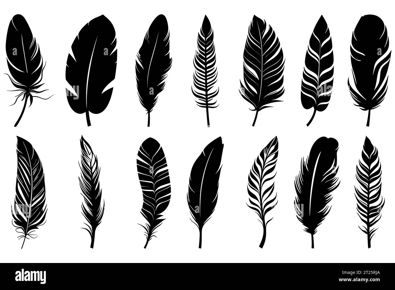 Feather black icon. Feather icons set. Various feathers. Vector ...