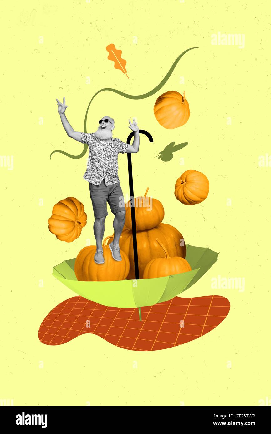 Collage sketch artwork of crazy funky cheerful guy flying fried chicken ...