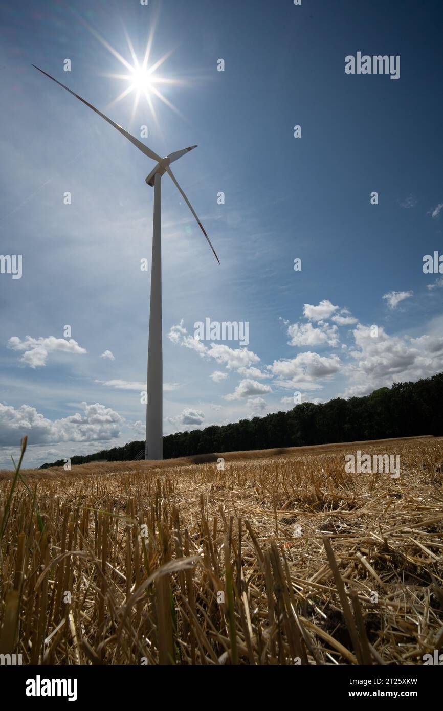 generator foeld agriculture energy wind corn wheat environment green ...