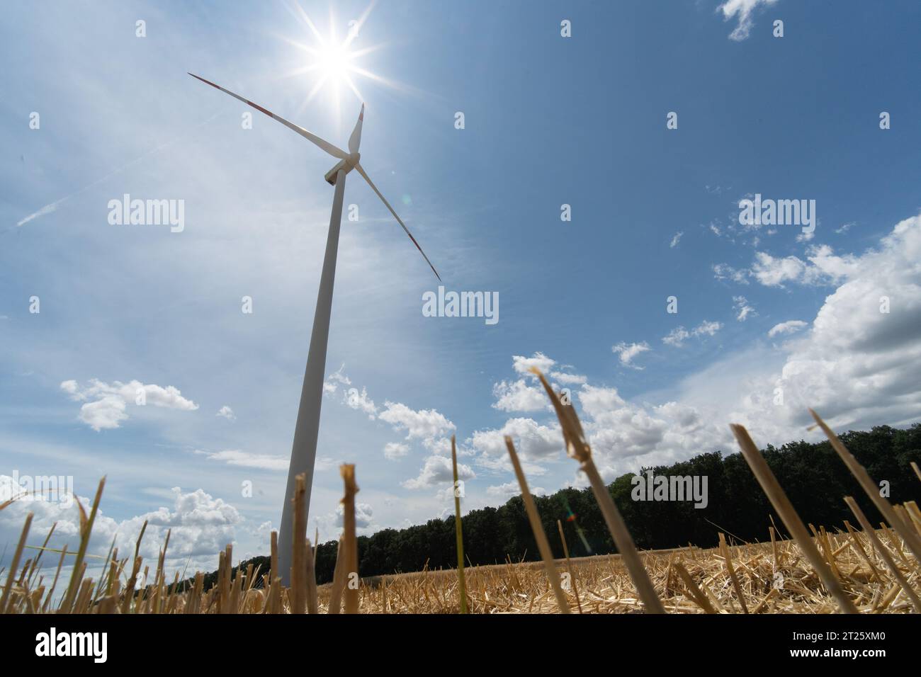 generator foeld agriculture energy wind corn wheat environment green ...