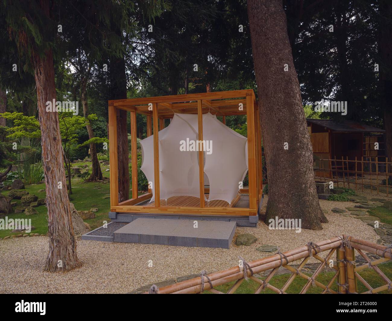 Japanese garden in Vienna (inside Botanical garden): Japanese maple ...