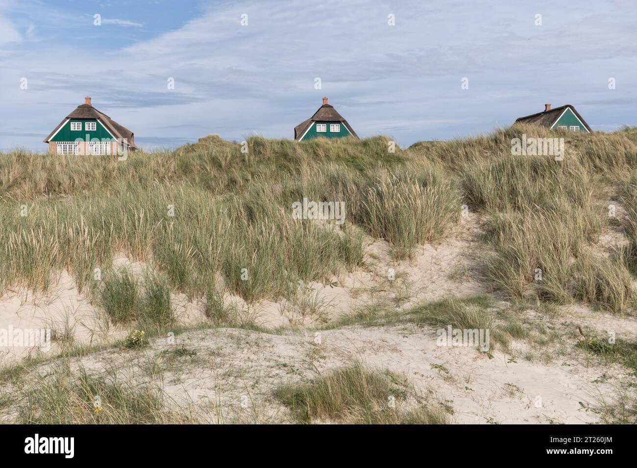 Thatched-roof summer houses in the dunes of Fanø Bad, Denmark Stock ...