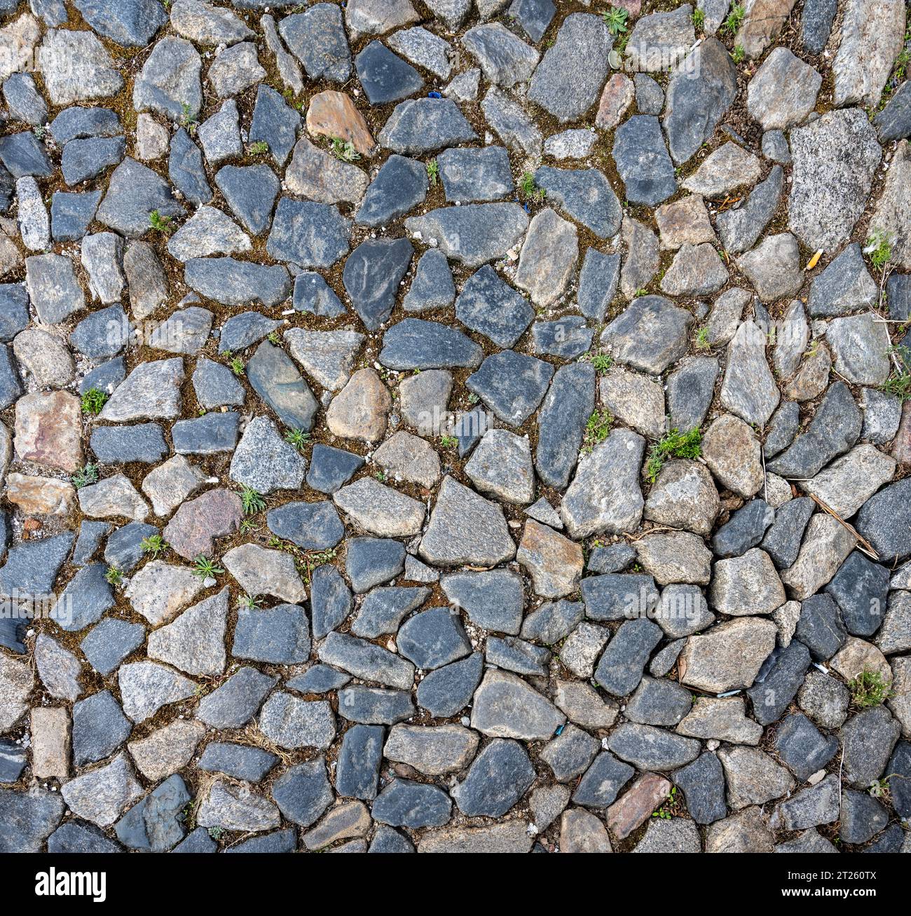Stone paving background cobblestone pattern in Old Town, Evora ...