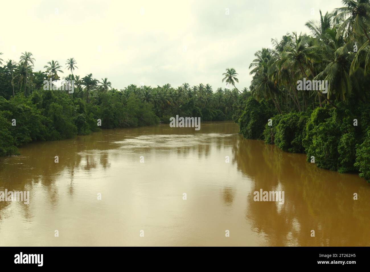 Monsoon india farm hi-res stock photography and images - Alamy