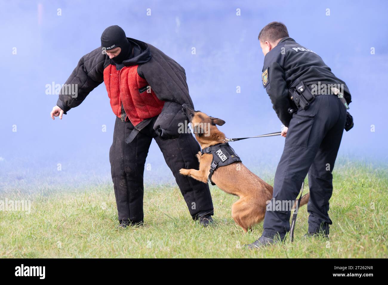 Bad Schandau, Germany. 17th Oct, 2023. During an exercise, a German ...