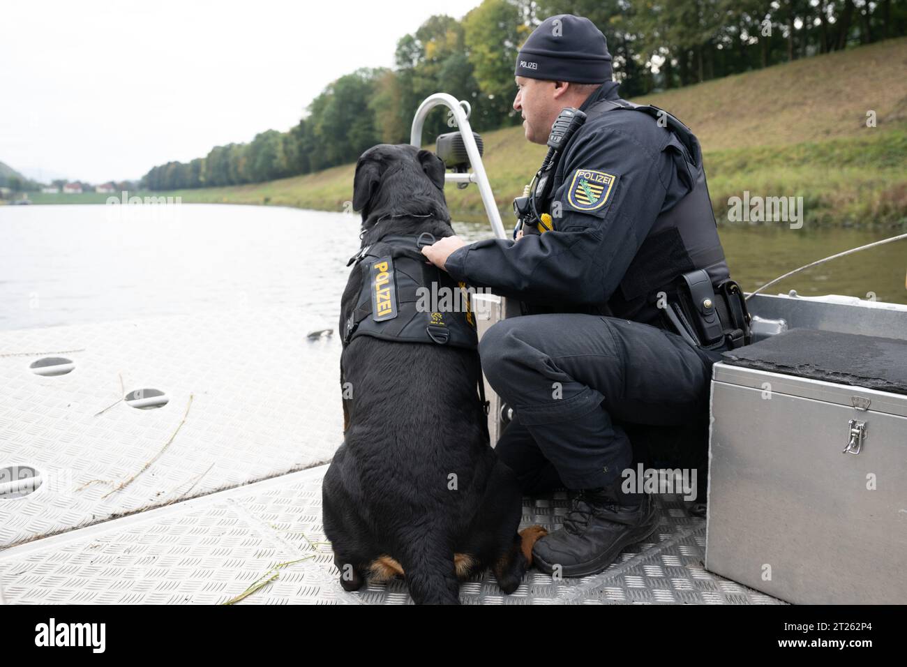 Rottweiler Gets Shot By Police