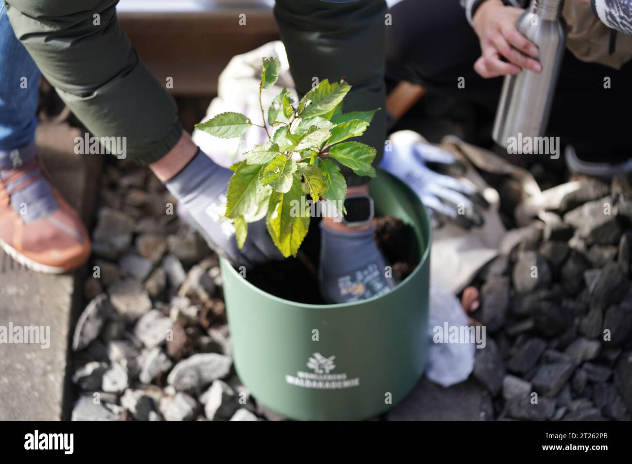 Hamburg, Germany. 17th Oct, 2023. Peter Wohlleben, forester and ...