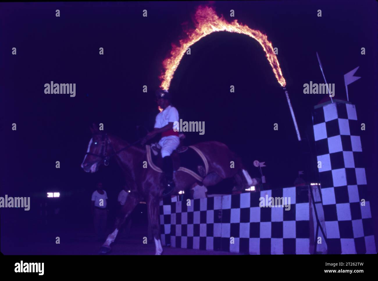 Horse Riding, Also known as: equestrianism, horse-riding, horseback ...