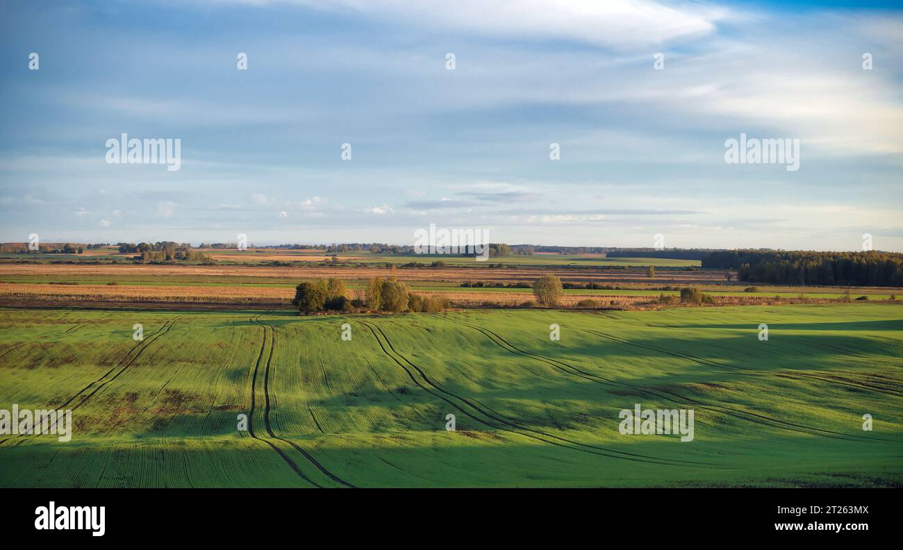 Sprawling expanse of a green field in a rural area or a farm with tire ...
