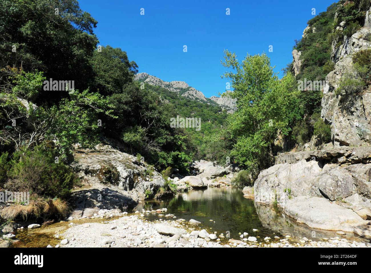Regional nature reserve of haut languedoc hi-res stock photography and ...