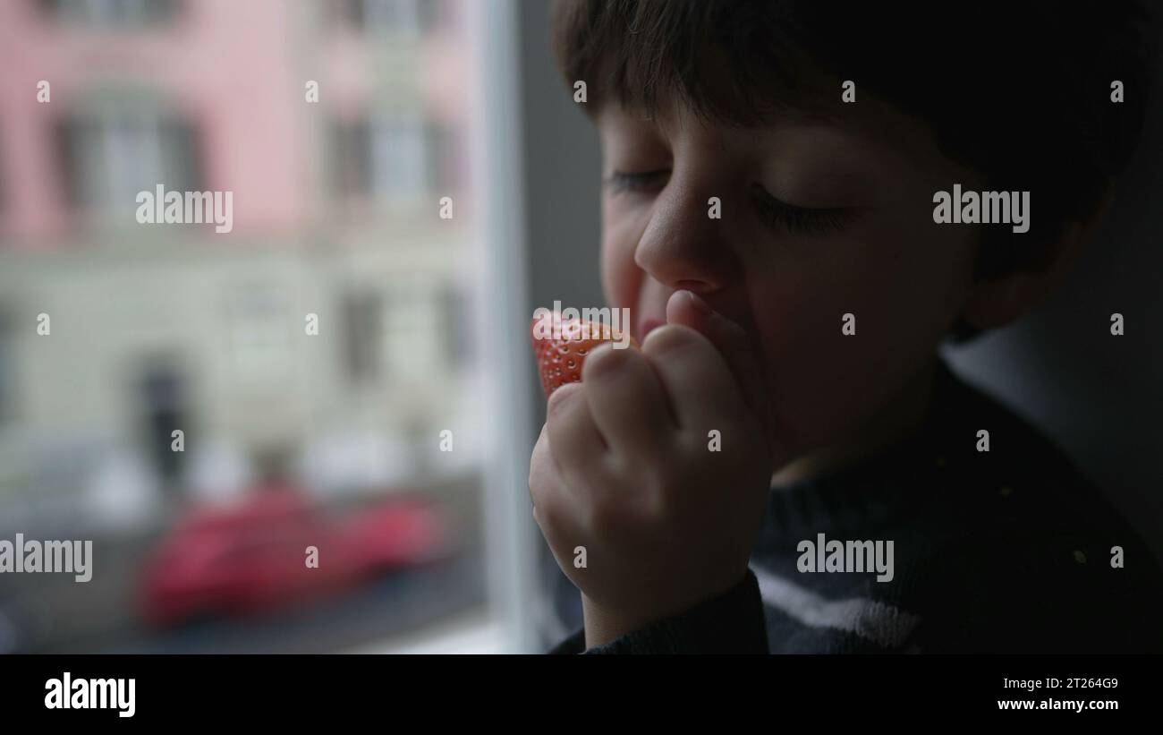 Little boy eating strawberry by window. Child taking a bite of healthy ...