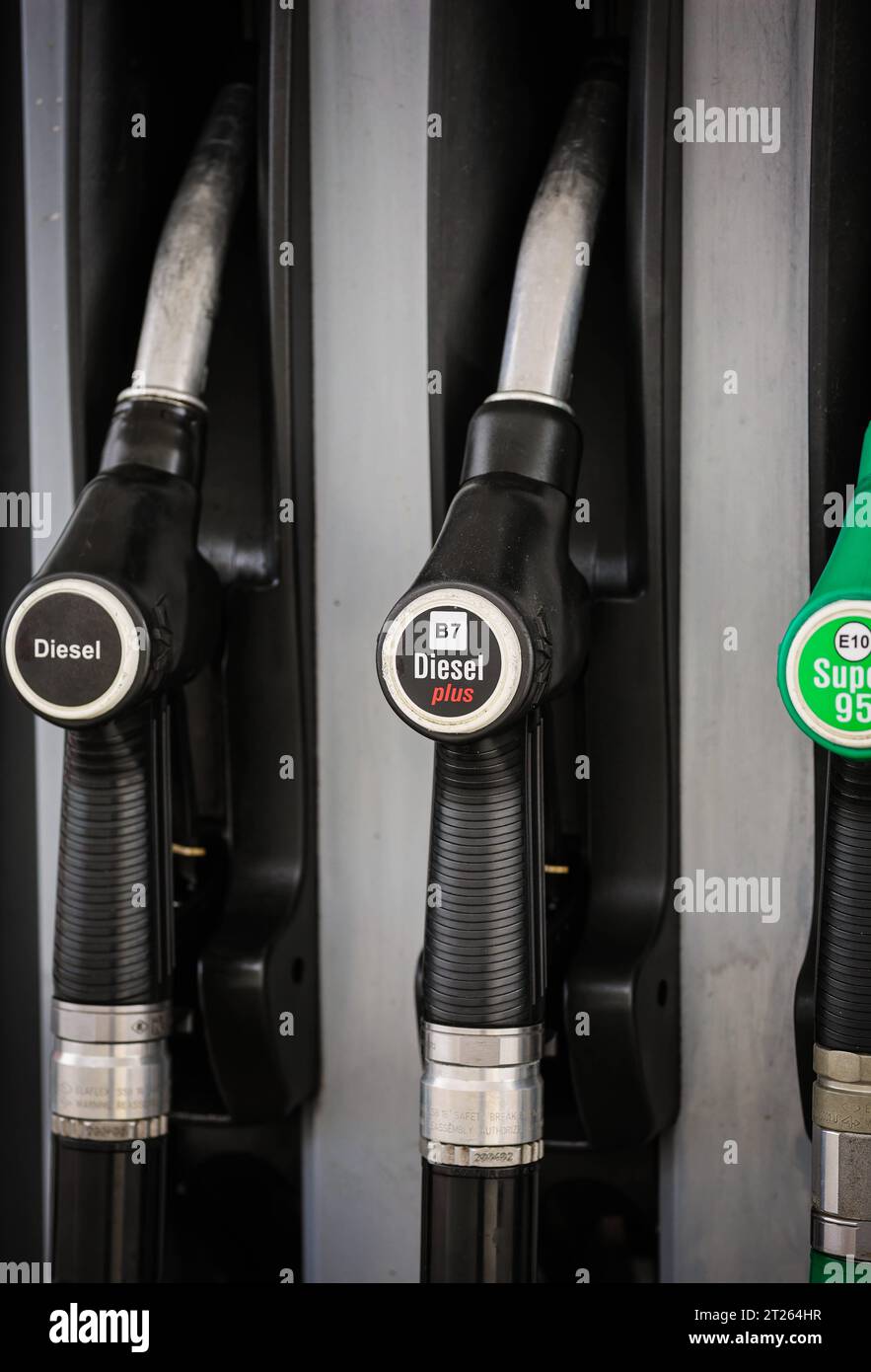 17.10.2023, Altheim, AUT, Unterwegs in Oberösterreich, Symbolbild ...