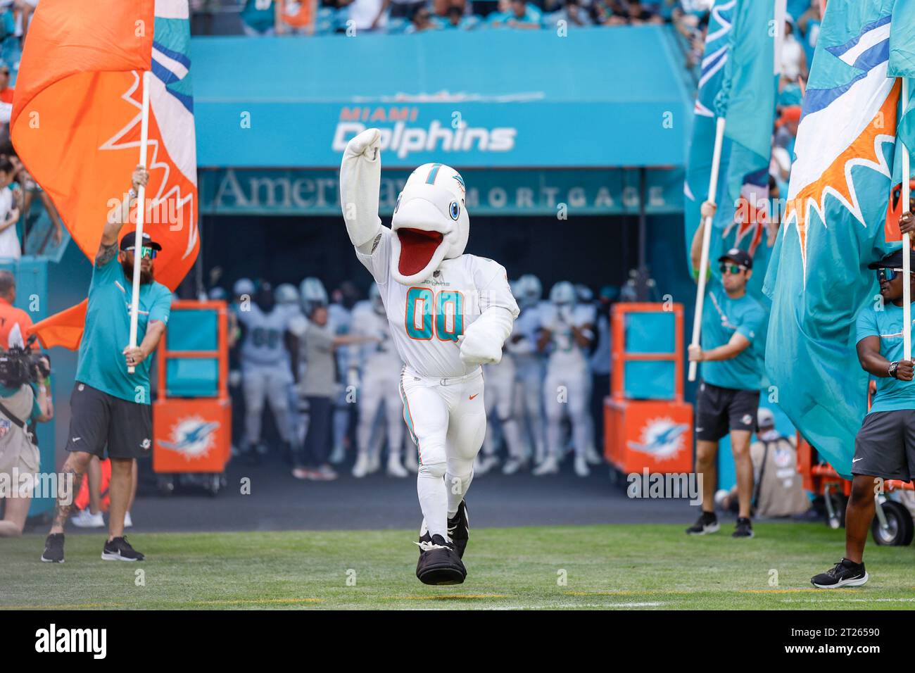 Miami. FL USA; Miami Dolphins mascot T.D. leads the team to the field ...
