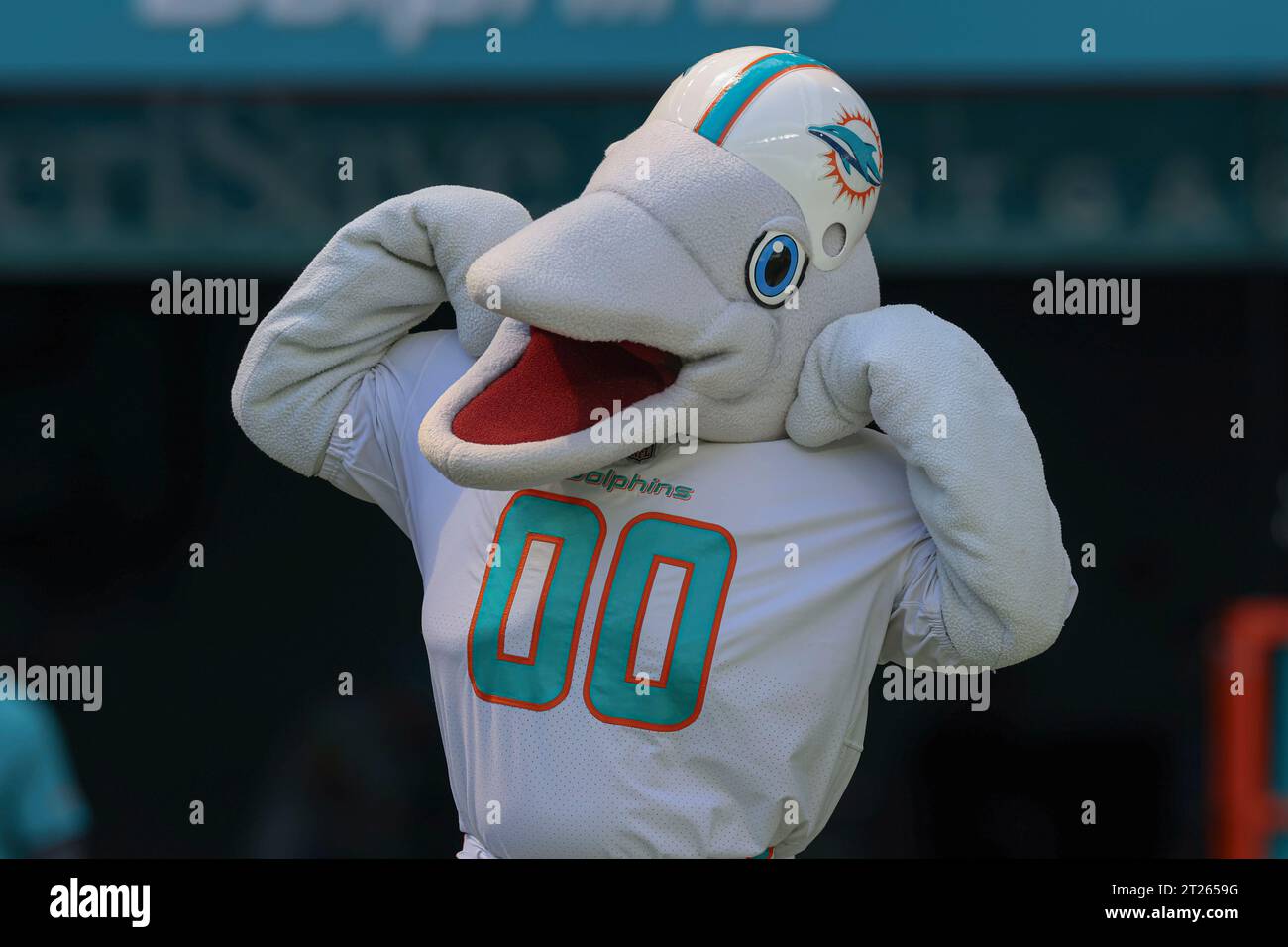 Miami. FL USA; Miami Dolphins mascot T.D. prior to an NFL game against ...